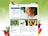 High Level Studios LLC – Website Design, SEO, Boca Raton, Delray